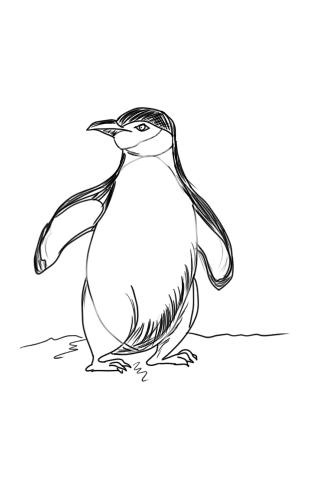 LearnDrawing - How to Draw a Penguin Step by Step