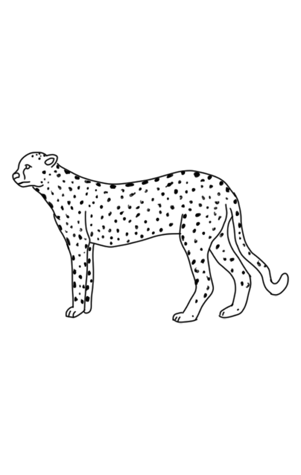 LearnDrawing - How to draw a cheetah step by step