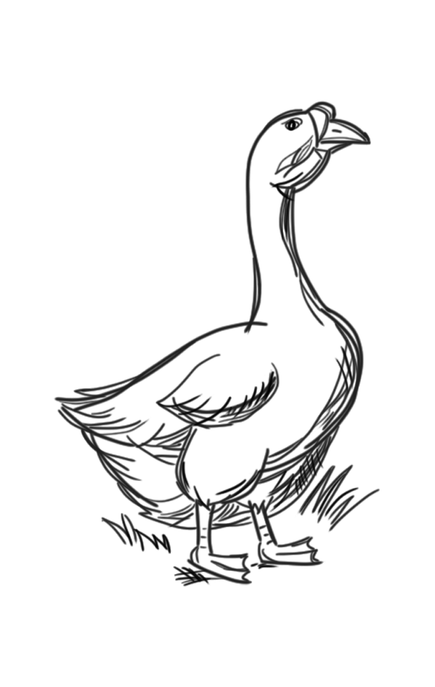 LearnDrawing - How to DRAW a GOOSE Easy Step by Step