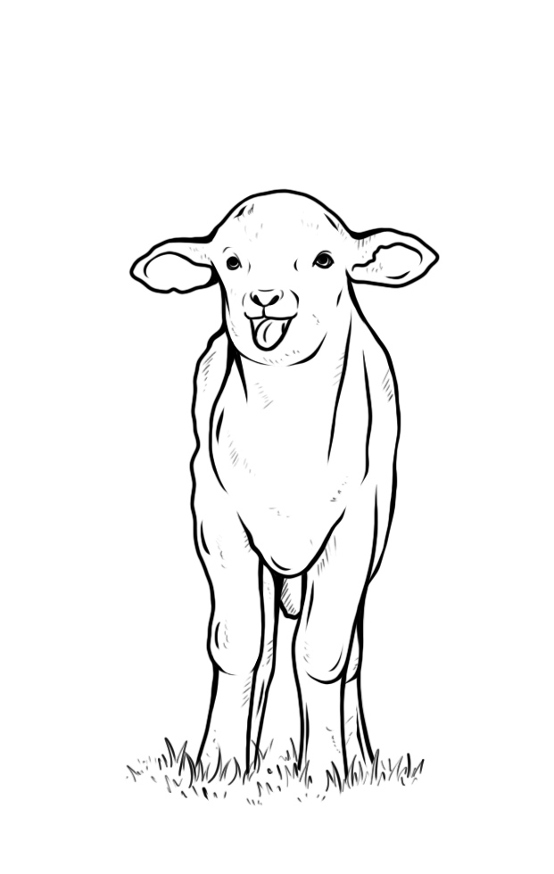 LearnDrawing - How to draw a lamb step by step