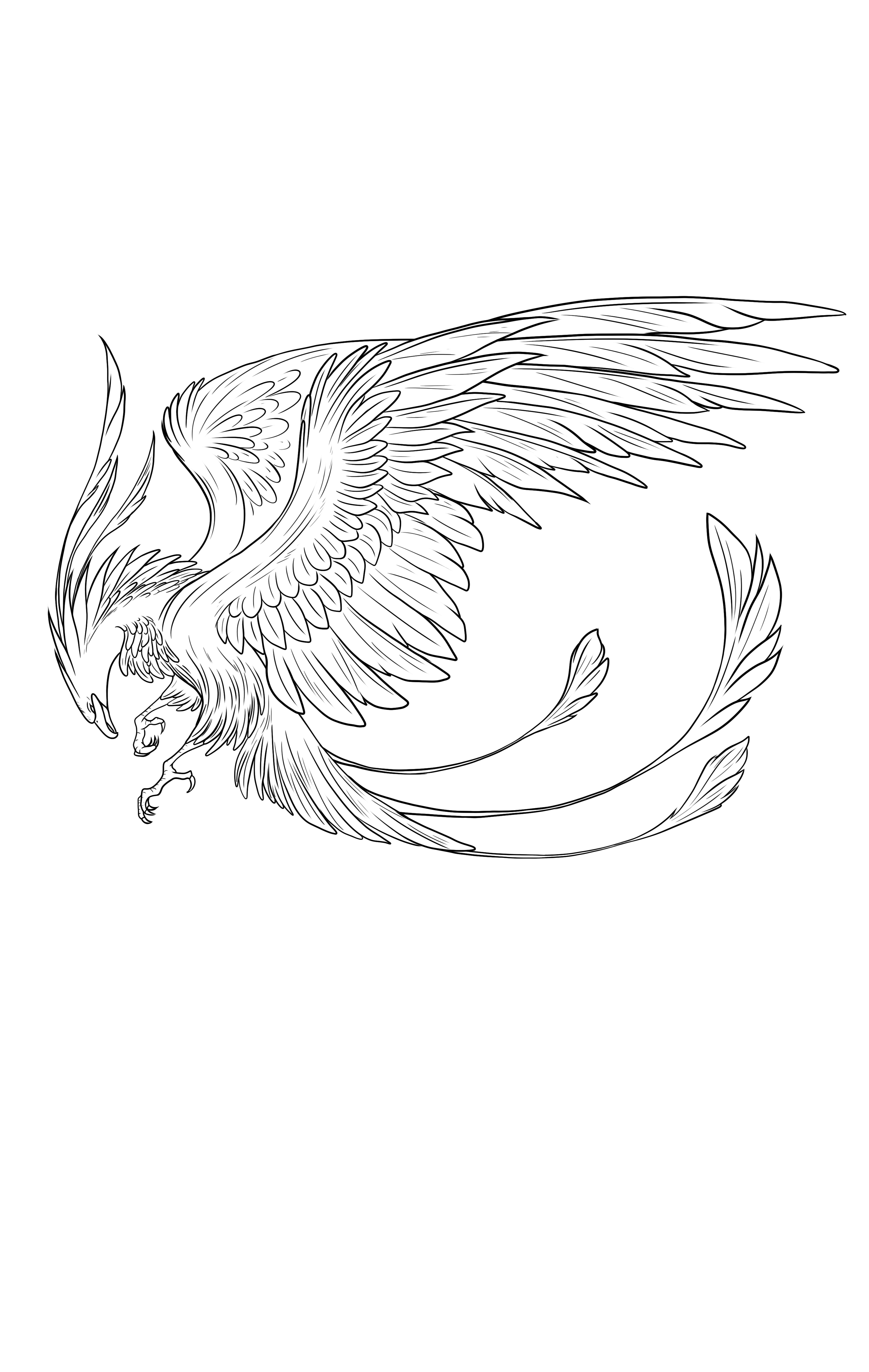 LearnDrawing - How to draw a phoenix