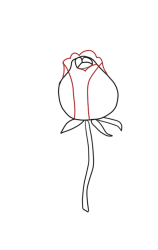 LearnDrawing - How to draw a rose bush step by step