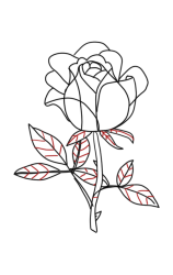 LearnDrawing - How to draw a rose bush step by step