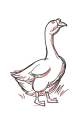 LearnDrawing - How to DRAW a GOOSE Easy Step by Step