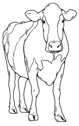 LearnDrawing - How to draw cattle step by step
