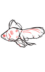 LearnDrawing - How do you draw a fish step by step