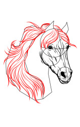 LearnDrawing - How to draw a horse head