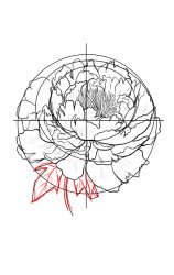 LearnDrawing - How to draw a peony flower