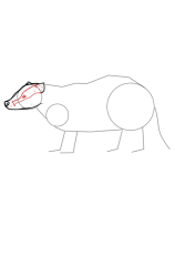 LearnDrawing - How to draw a badger