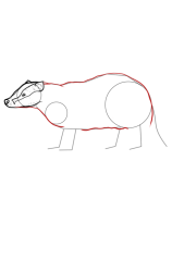 LearnDrawing - How to draw a badger