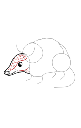 LearnDrawing - How to draw an Armadillo