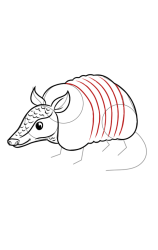 LearnDrawing - How to draw an Armadillo