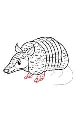 LearnDrawing - How to draw an Armadillo