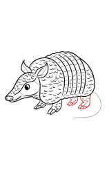 LearnDrawing - How to draw an Armadillo