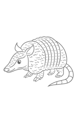 LearnDrawing - How to draw an Armadillo
